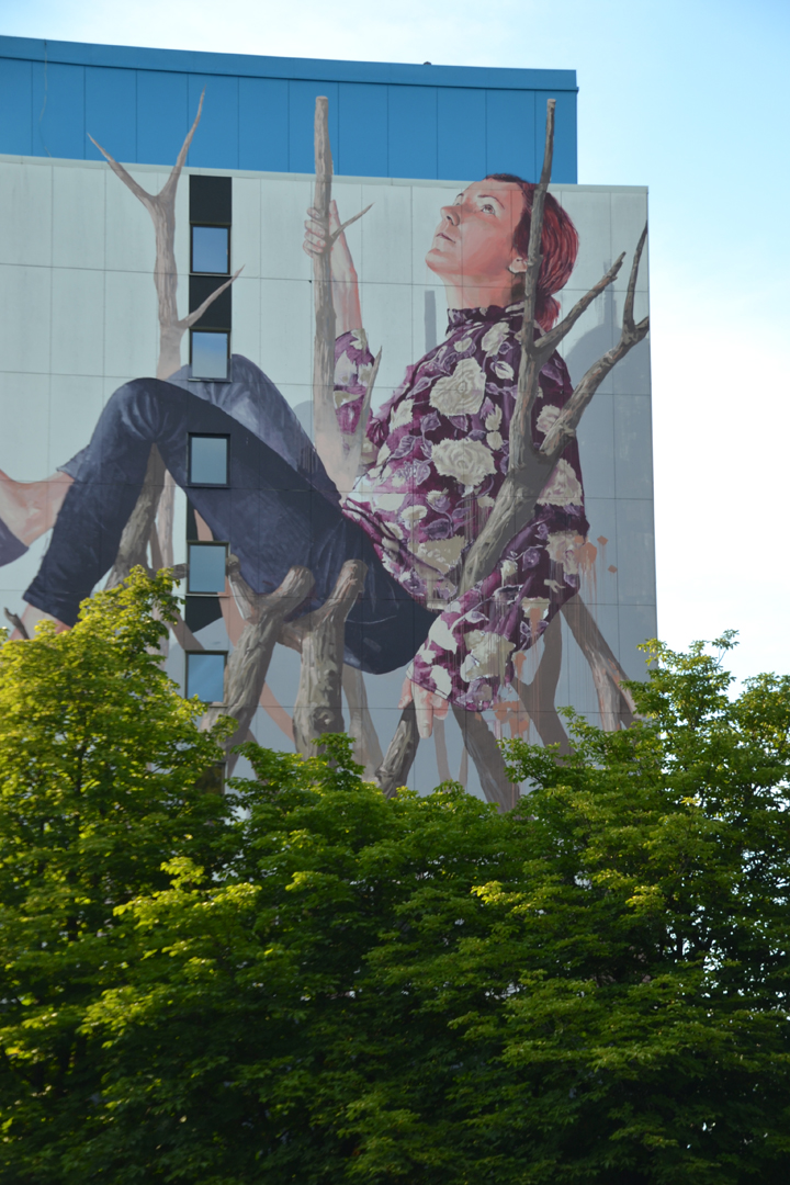 Fintan Magee – Jim's travels